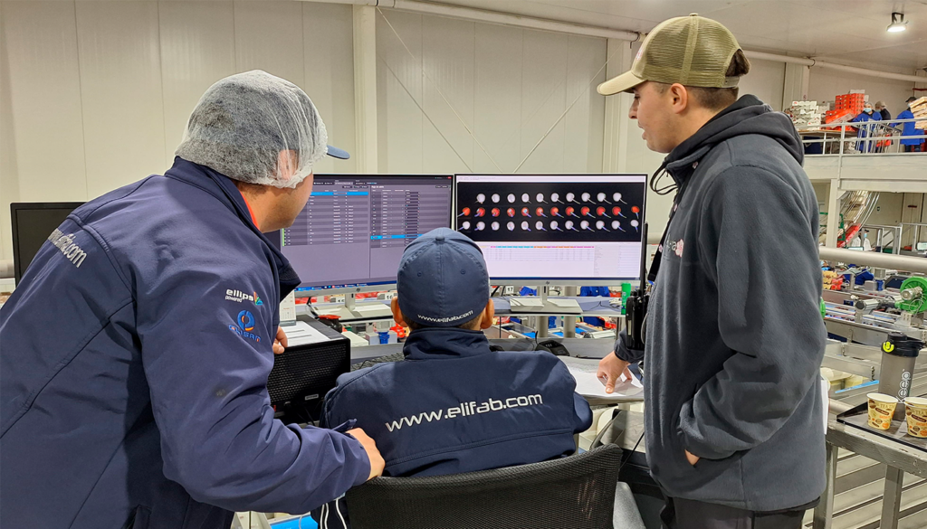 AI grading for cherries impresses Allegria Foods with sensational precision