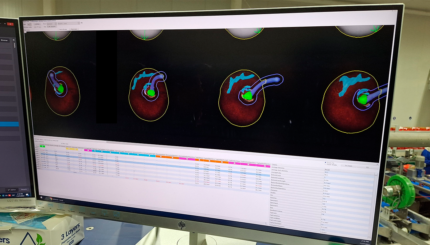 AI grading for cherries impresses Allegria Foods with sensational precision
