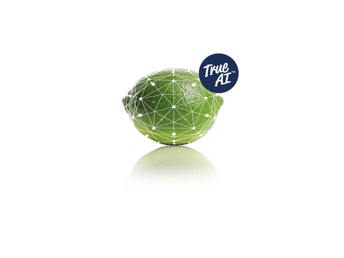 The next generation of lime grading - Ellips | Next Level Grading