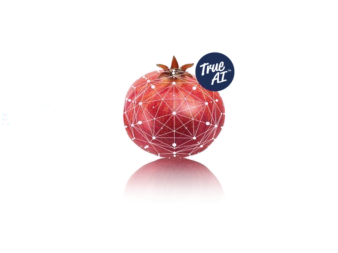 The next generation of pomegranate grading - Ellips | Next Level Grading