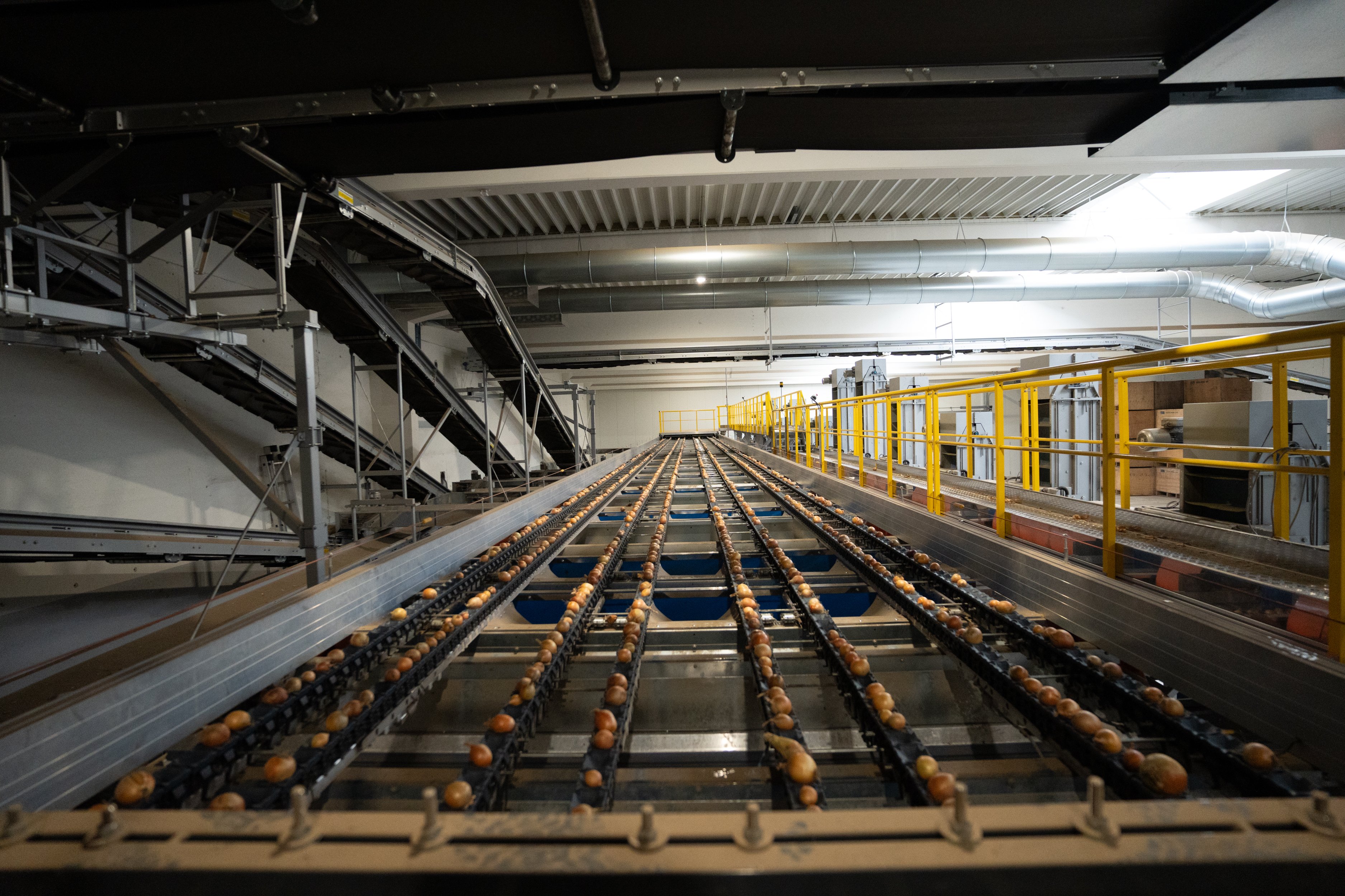 This is how Groka expands capacities with a guarantee for quality