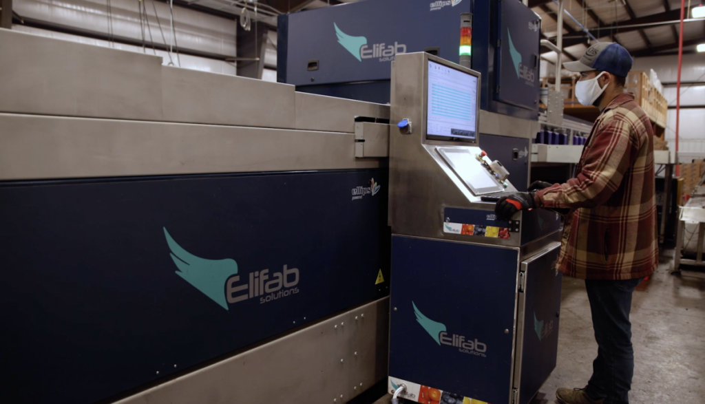 The Next Generation of Blueberry Grading - Ellips | Next Level Grading