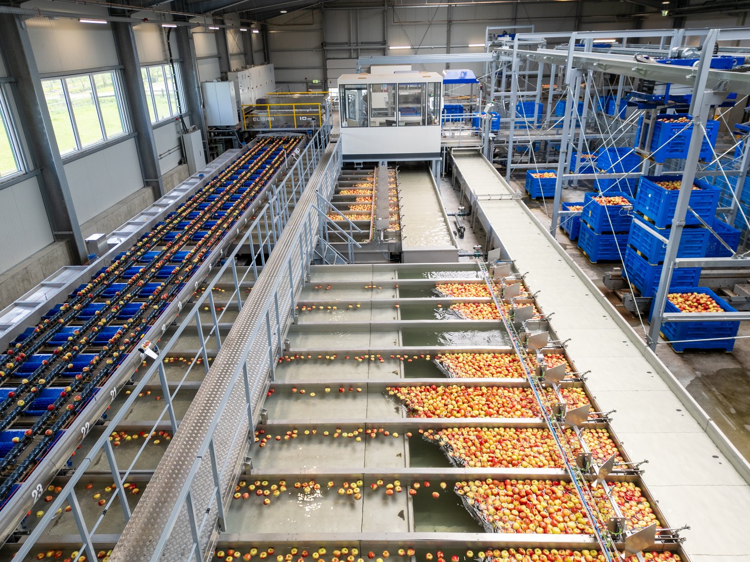 How can you ensure desired apple quality and consistency?