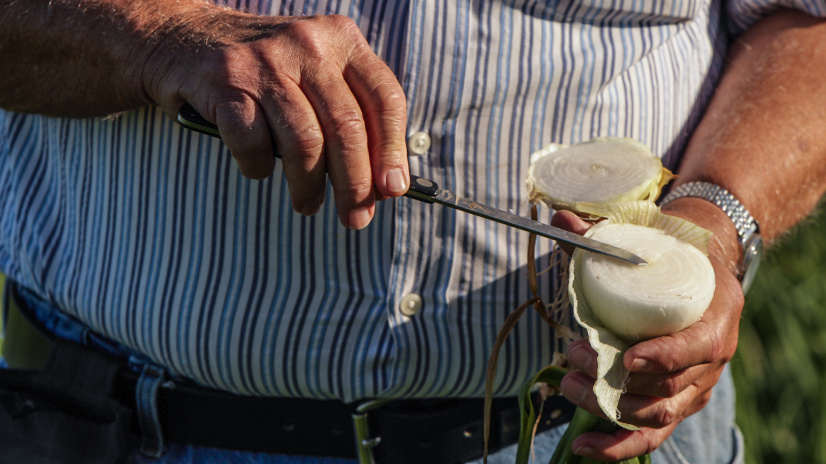 Target AG invest in AI to enhance customer satisfaction and efficiency