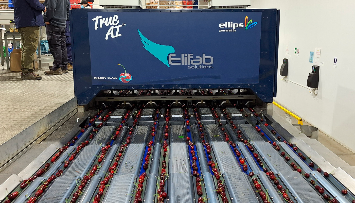 AI grading for cherries impresses Allegria Foods with sensational precision