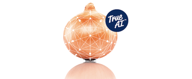 The next generation of onion grading - Ellips | Next Level Grading