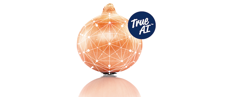 The next generation of onion grading - Ellips | Next Level Grading