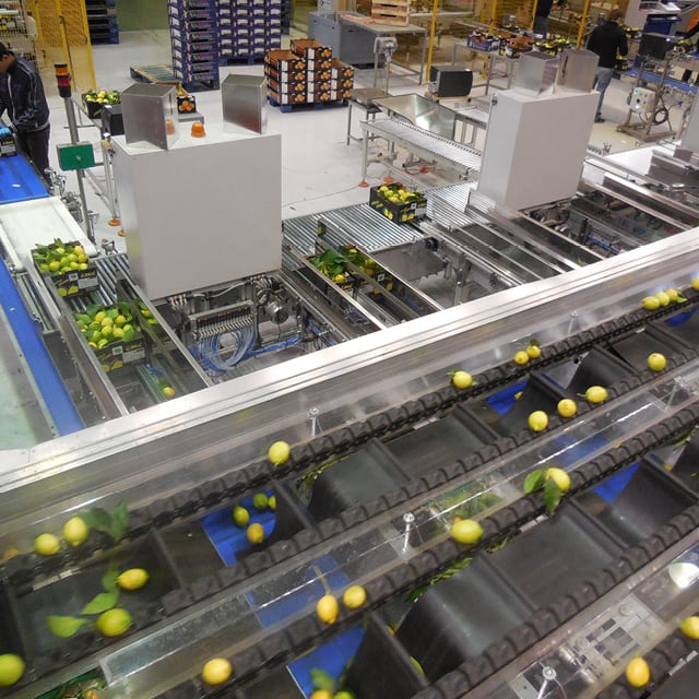 The next generation of lemon grading - Ellips | Next Level Grading