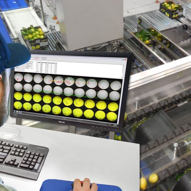 The next generation of lemon grading - Ellips | Next Level Grading