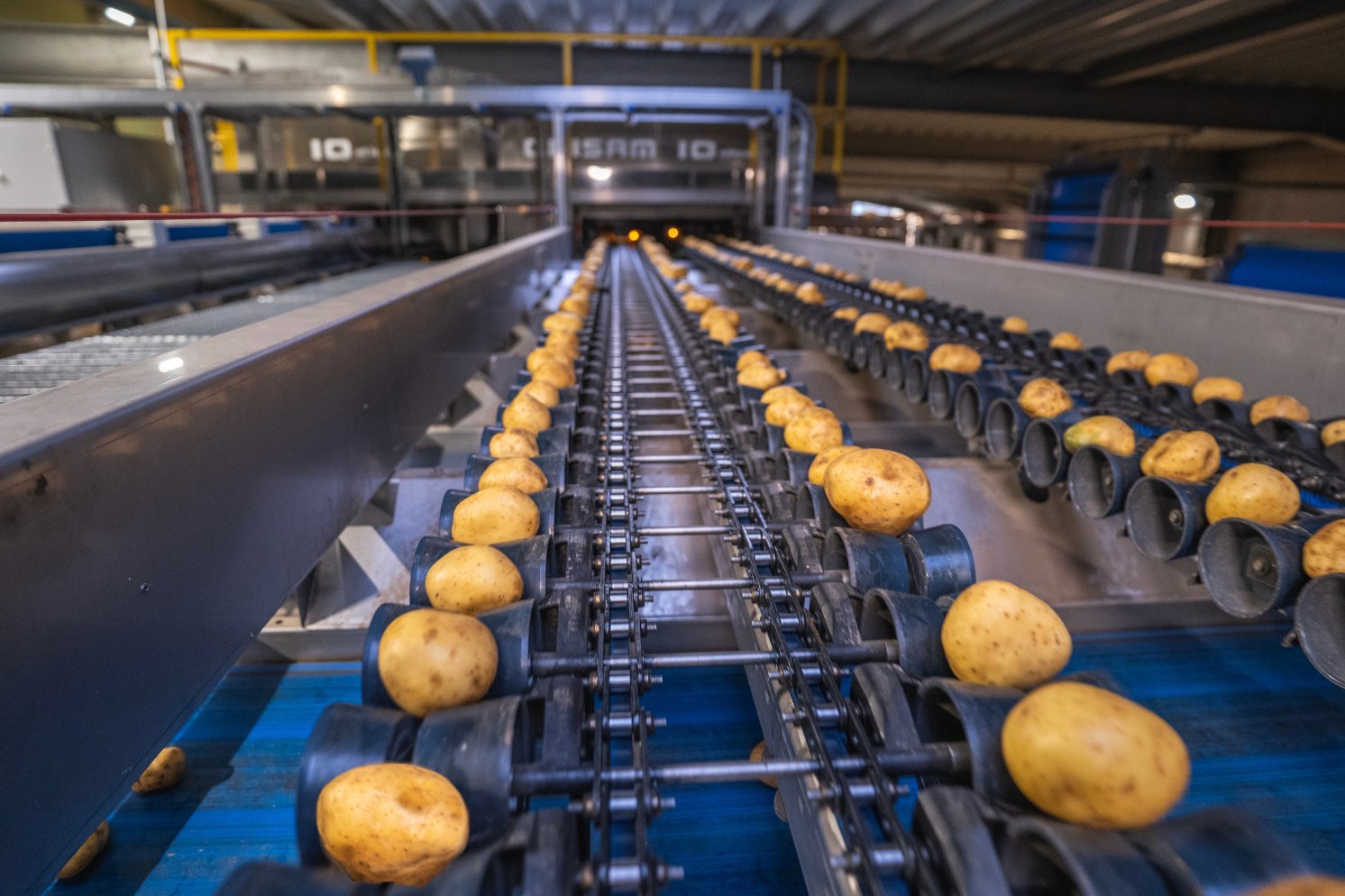 What are the powerful benefits of AI for potato grading?