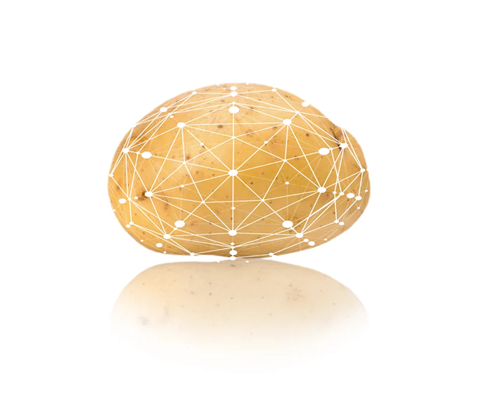 How can you ensure desired potato quality and consistency?