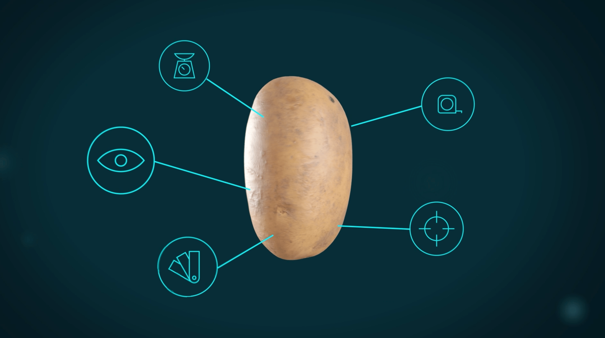 Maximize your harvest value with AI potato grading