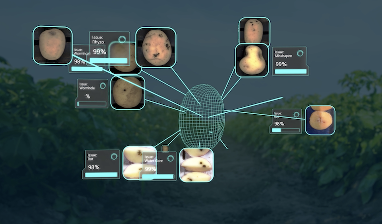 Maximize your harvest value with AI potato grading