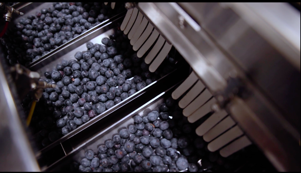 Dr. B's increased volume and improved the quality in the packed ...