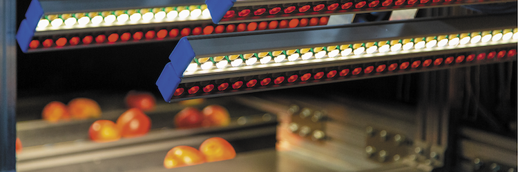 Deep learning optical grading systems - Ellips | Next Level Grading