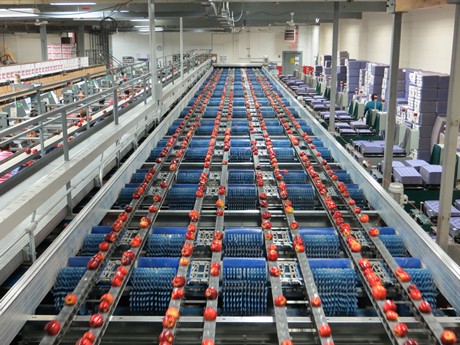 Technology to assess internal quality makes sense only if the market ...