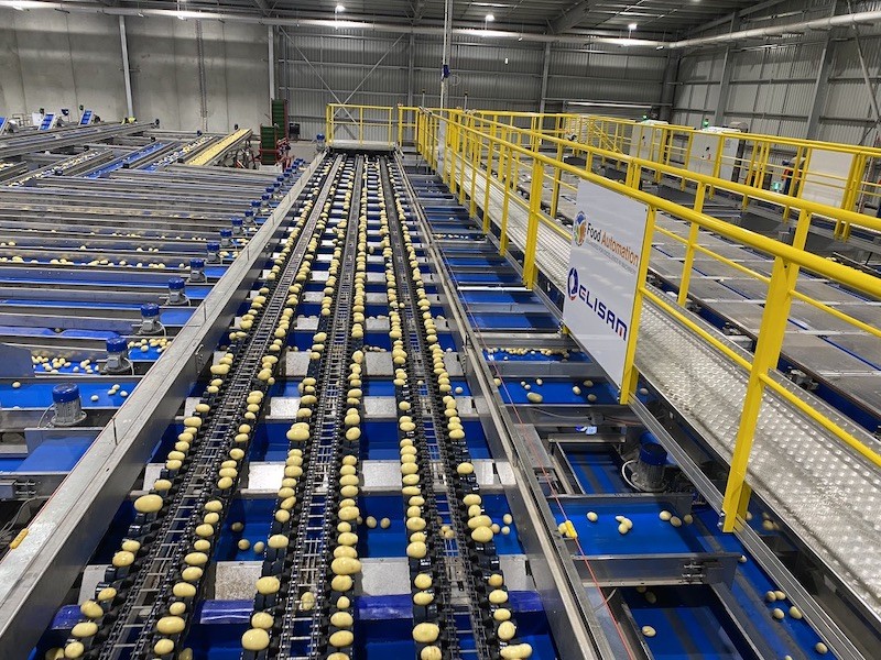 Zerella Fresh continues to deliver consistent potato quality with ...