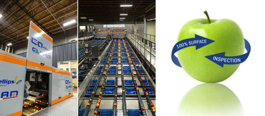 The Next Generation of Apple Grading - Ellips | Next Level Grading